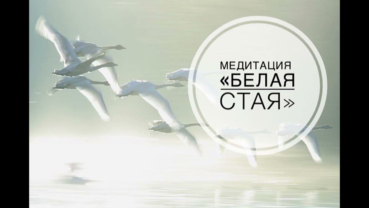 Медитация «Белая стая»