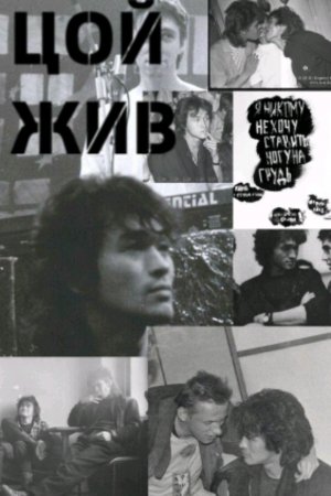 вечерний стрим
