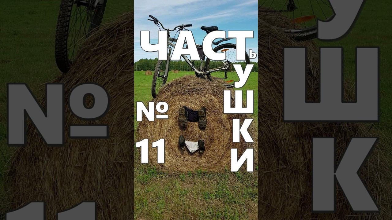 НюНюНю