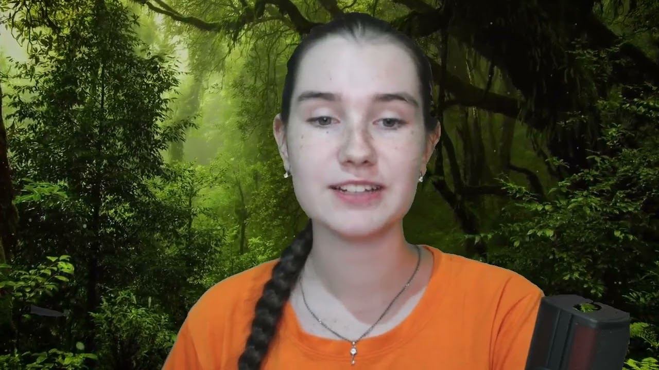 16 глава  путешествие пилигрима  Джон Буньян