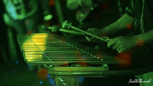 JAZZ || Fish Tank Aquarium with 2 Hours of Tropical Happy Songs & Relaxing Summer Music Video