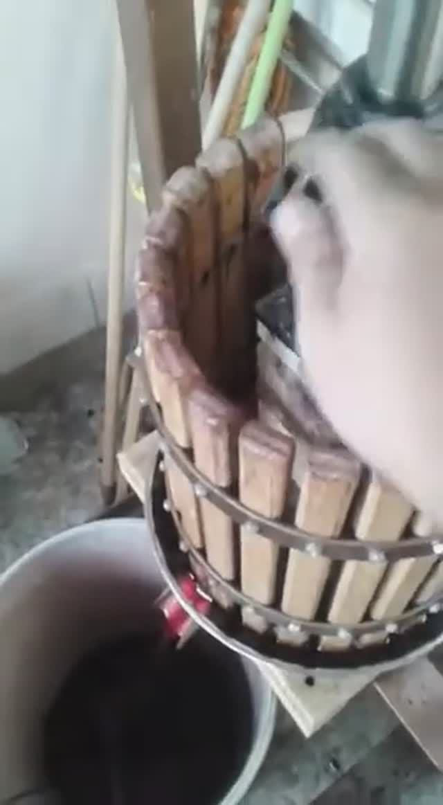 осень... время делать вино...