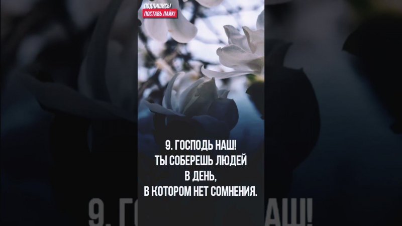 Сура али Имран 8 - 9 аят. Абу Хабиба