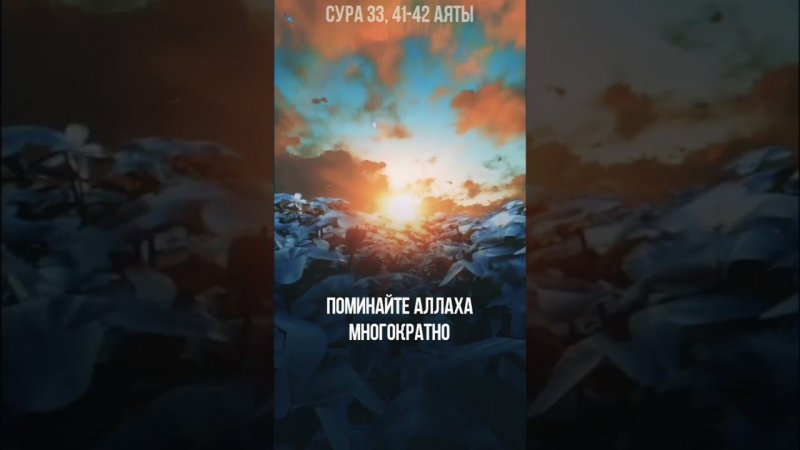 Сура 33 «Аль-Ахзаб», 41-42 аят
