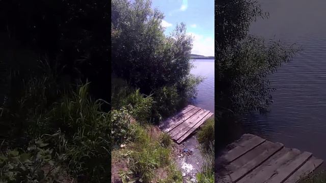 Купание коня. Ой, Атоса.