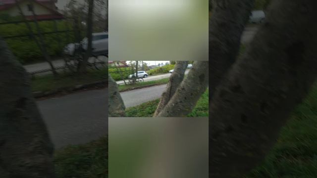 Метель 1 сезон 3 серия
