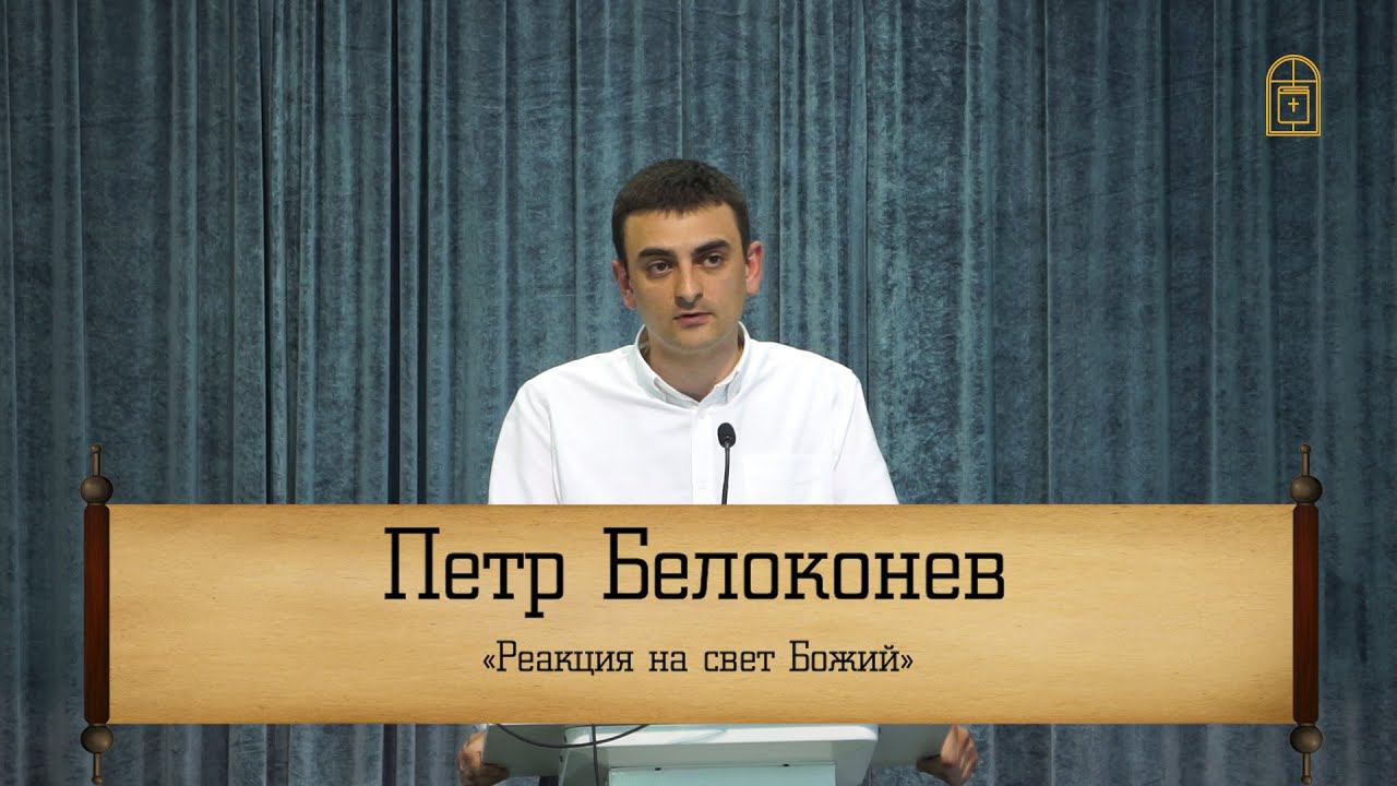 Петр Белоконев - "Реакция на свет Божий"