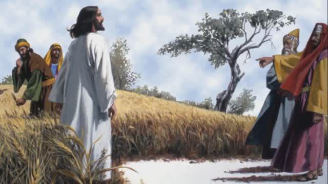 Евангелие от Луки 6