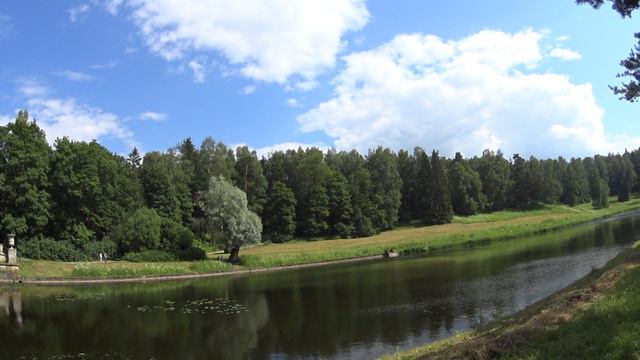 18 июля 2014 Павловский парк