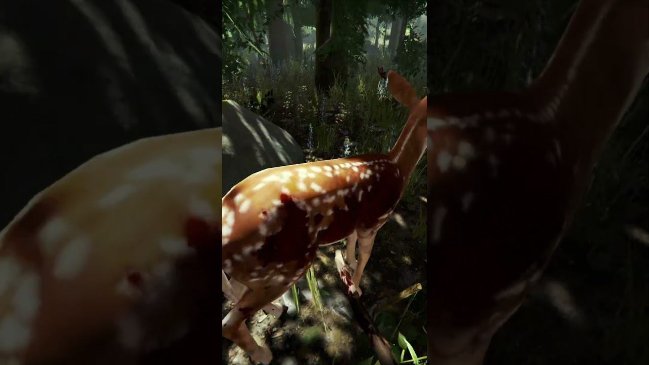 #shorts #shorts_video  #shortvideo