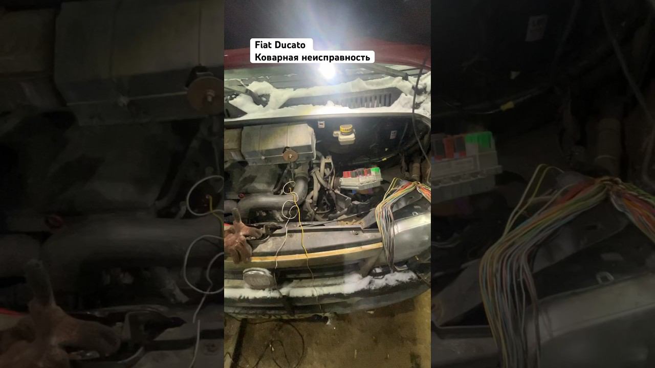 Фиат Дукато. Коварная плавающая неисправность. #запускдвигателя #автоэлектрик #оживление #Fiat