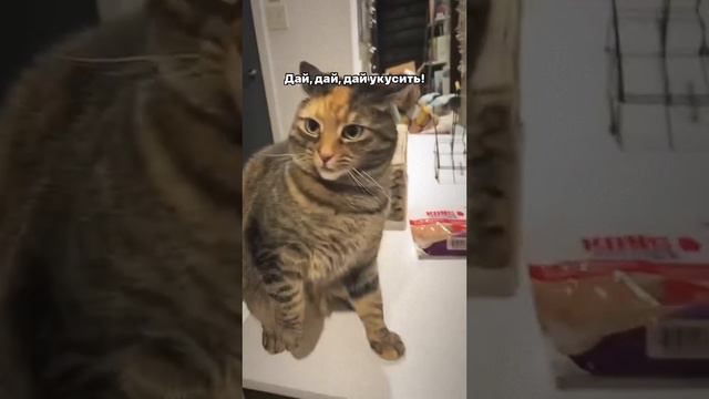 Настроение сделать кусь 😇🥺