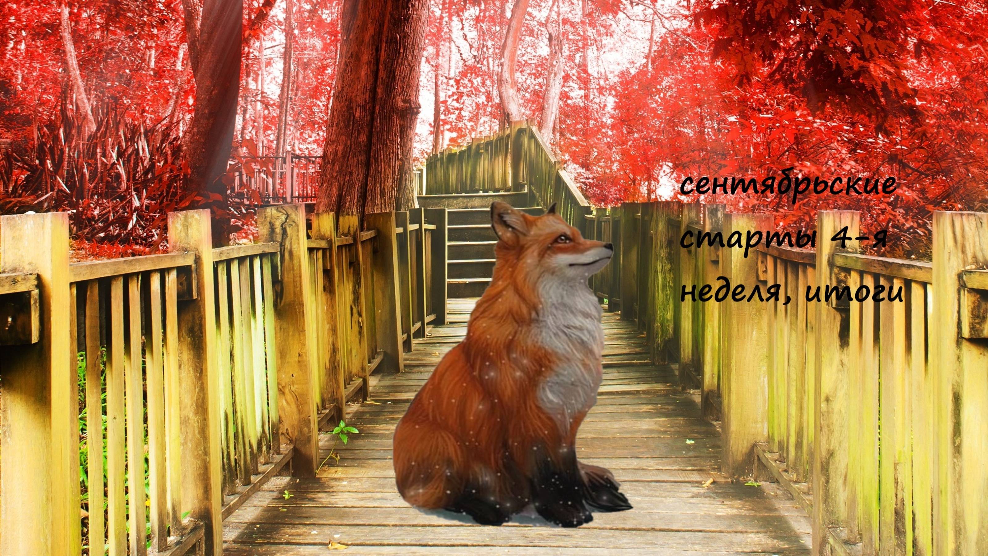 ИТОГИ ПОСЛЕДНЕЙ НЕДЕЛИ СТАРТОВ СЕНТЯБРЯ