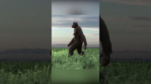 Переходное звено между обезьяной и человеком: Ардипитек (Ardipithecus). 4,4 млн. лет назад
