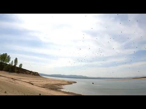Поездка в Даурский и Огурский заливы