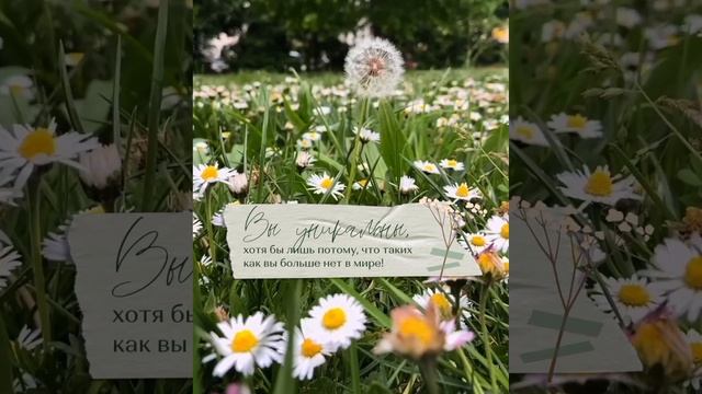 Уникальный одуванчик