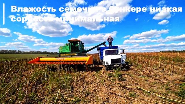 Легендарный комбайн ДОН-1500Б на уборке подсолнечника с жаткой Санмастер Нео