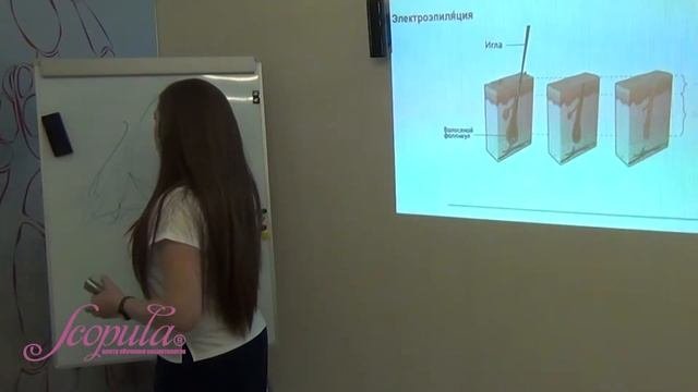 Курс "Электроэпиляция" | Scopula.ru