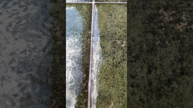 Керамогранит Dream Green 30x60