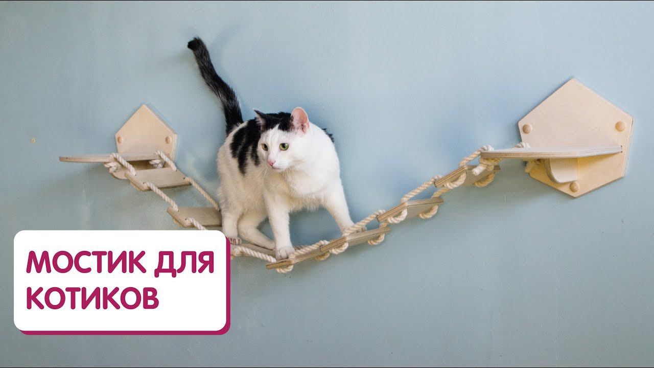 Мостик для кошки | Игровой комплекс для питомца