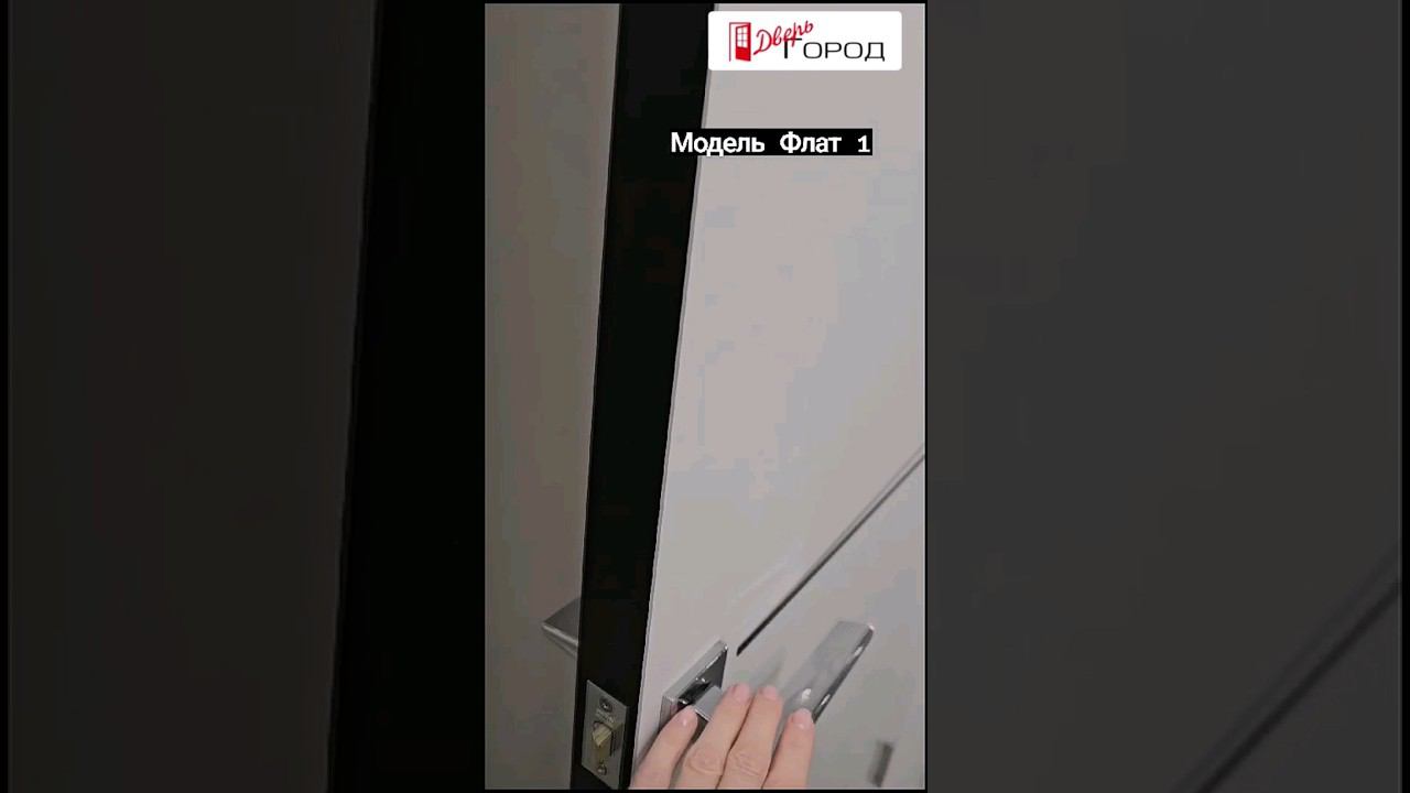 Межкомнатная дверь модель Флат 1 dvergorod.ru #shorts