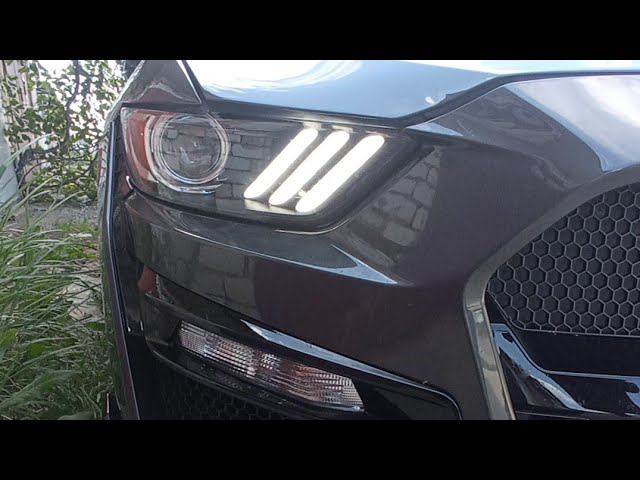Mustang Shelby