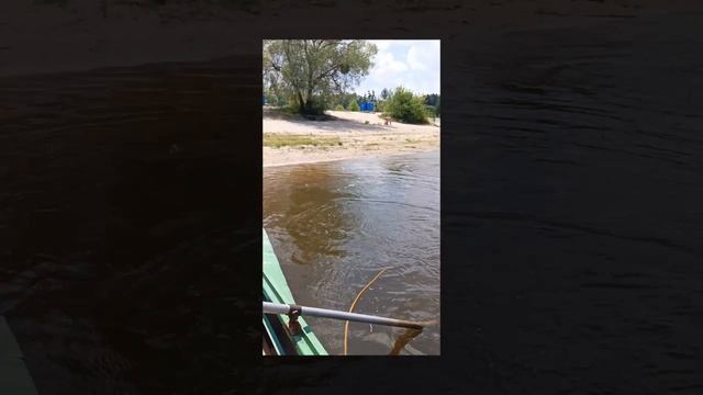 Super Camp 2024 - Закрытие смены - Черные дельфины