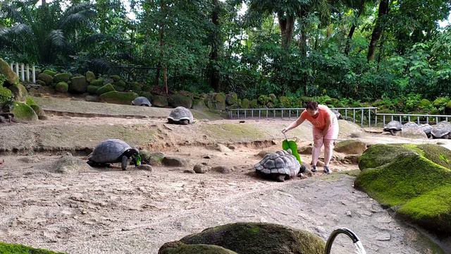 VID_20200222_162254