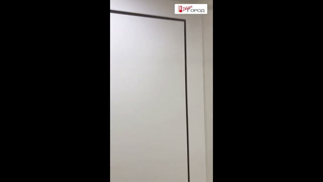 Дверь межкомнатная ПДТ 4101 чёрная кромка Аляска суперматовая