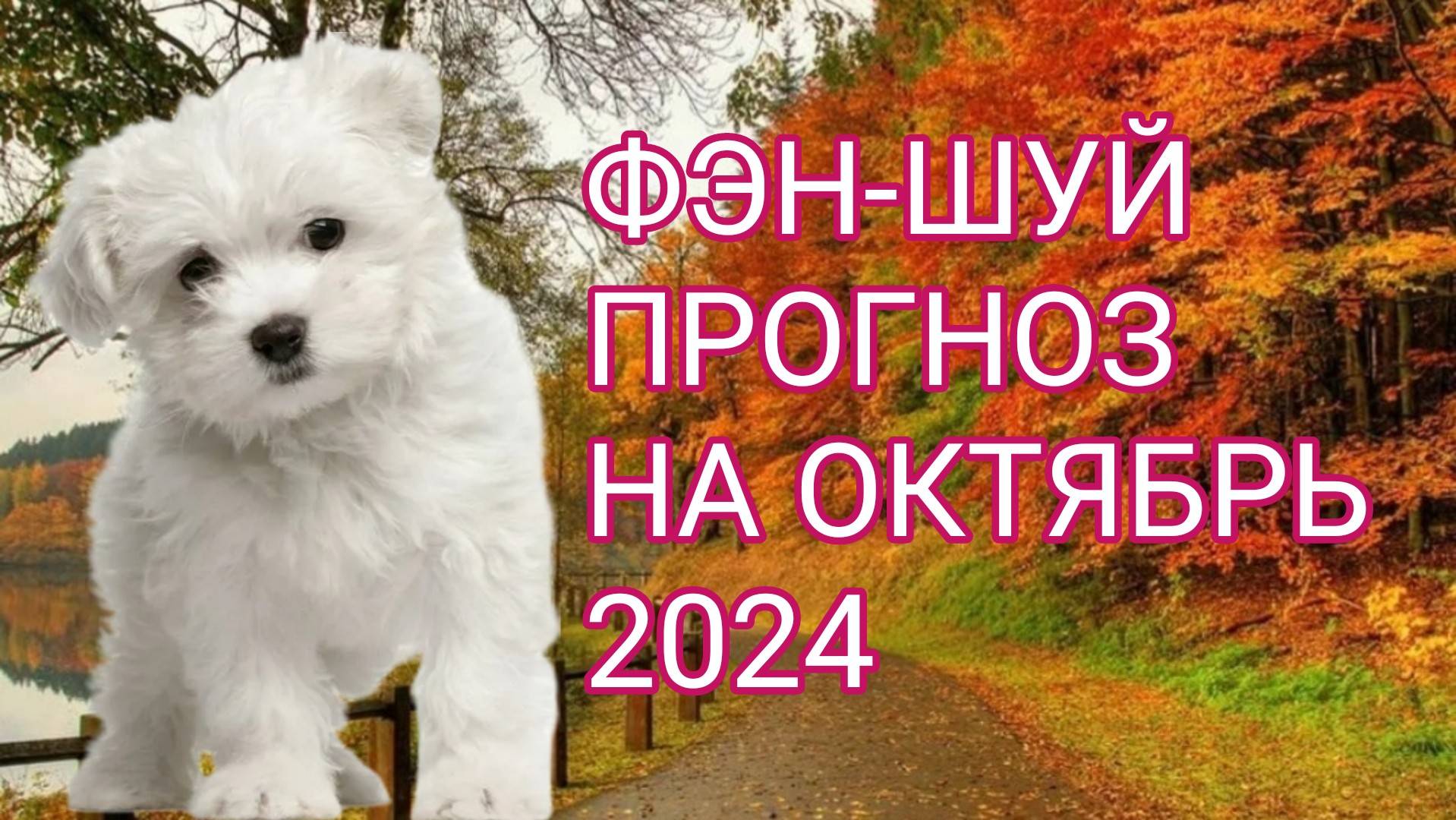 ФЭН-ШУЙ ПРОГНОЗ НА ОКТЯБРЬ 🐕🦺МЕСЯЦ ДЕРЕВЯННОЙ СОБАКИ#10