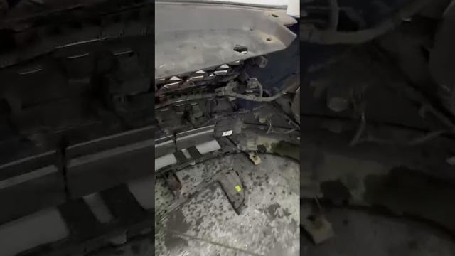 Сетка в бампер_1