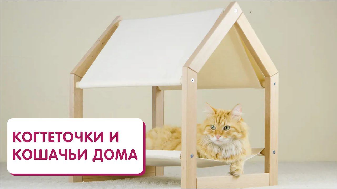 Когтеточки, полочки и кошачьи домики - чем порадовать кота