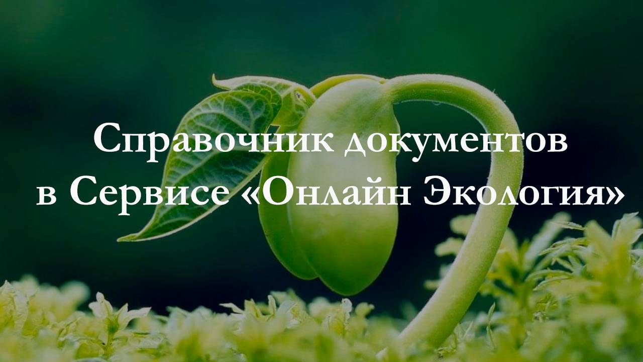 Справочник документов в Сервисе "Онлайн Экология"