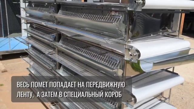 🧹Легкая уборка помета в клетке для перепелов «MULTIPRO» на 550 голов благодаря ленте пометоудаления