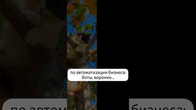 И спи, отдыхай... Сетевая сказка!