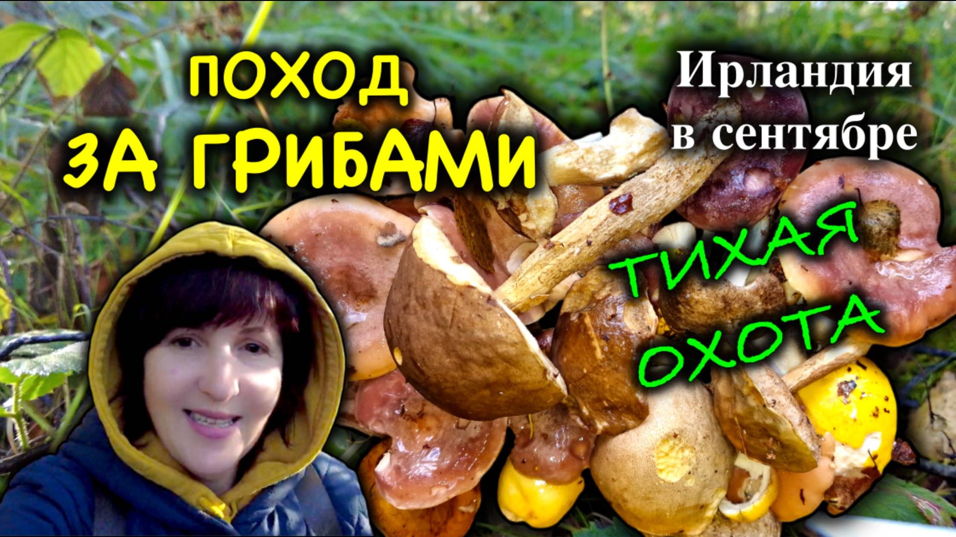 Ирландия🇮🇪Поход за Грибами/Какие Грибы растут в Сентябре/Грибная поляна/Тихая Охота