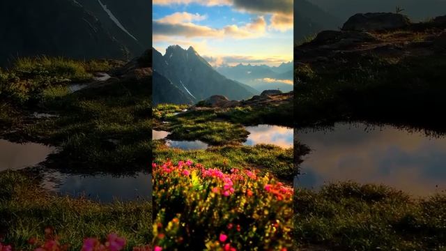 Заповедные места