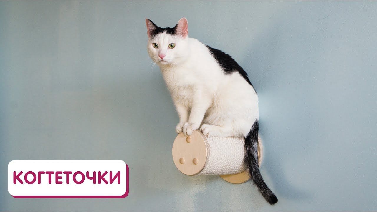Настенная когтеточка для кошек