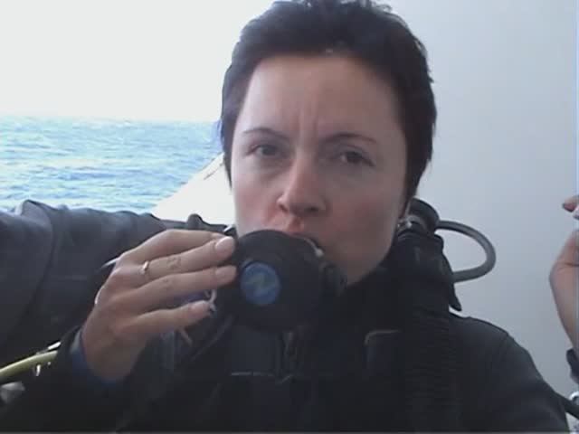 Diving in Egipt
