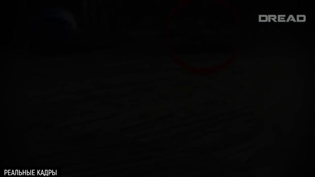 БОНУС ВИДЕО - DREAD Boosty-01 - смотреть видео онлайн от «FEAR.mp4|Джек Краймер и другие» в ...