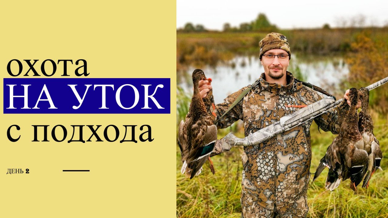 Удачная охота на уток с подхода. День 2