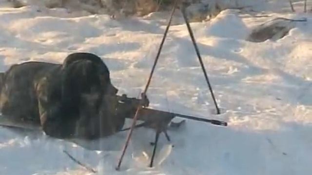 Winner Sniping trailer