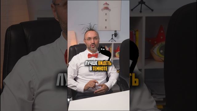 Почему у кошки светятся глаза в темноте?