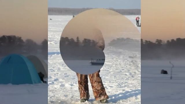 Сегодня пятница