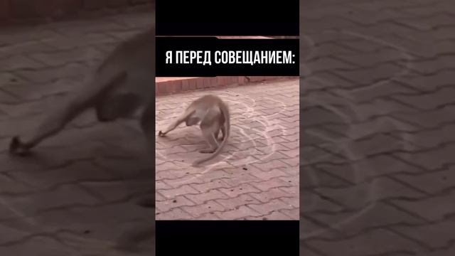 я и мои идеи