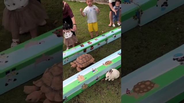 Черепаха и кролик, кто быстрей