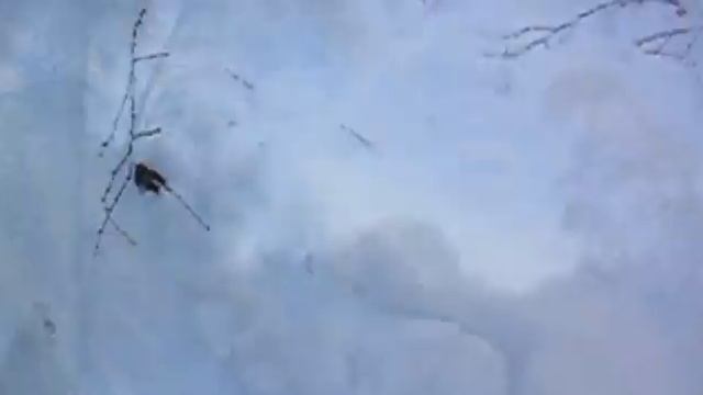 Зимний навийский снайпинг 2011