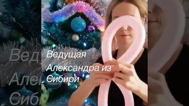 Детская анимация Ведущая Александра из Сибири #party #kids #funny #2024