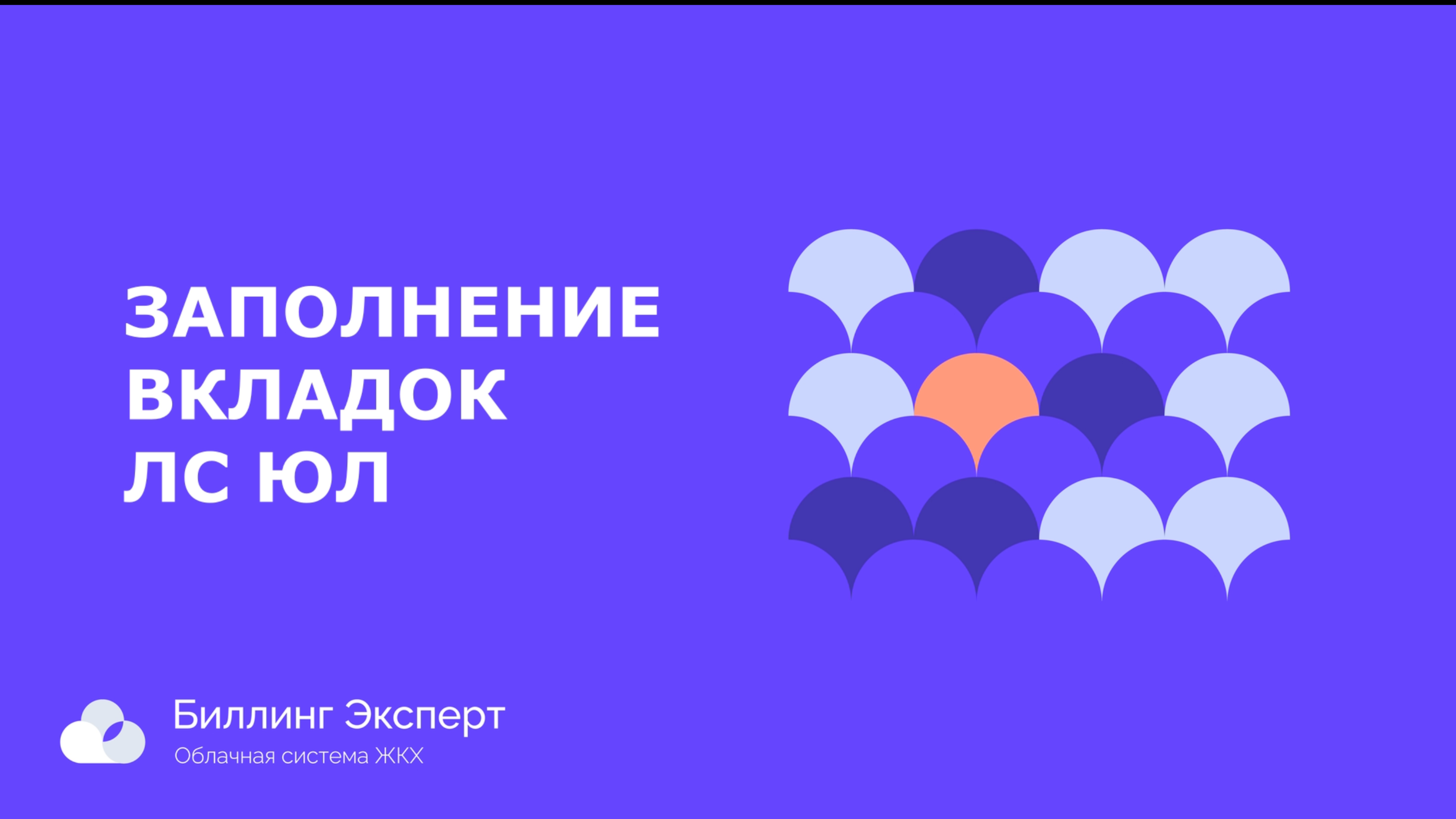 Заполнение вкладок ЛС ЮЛ