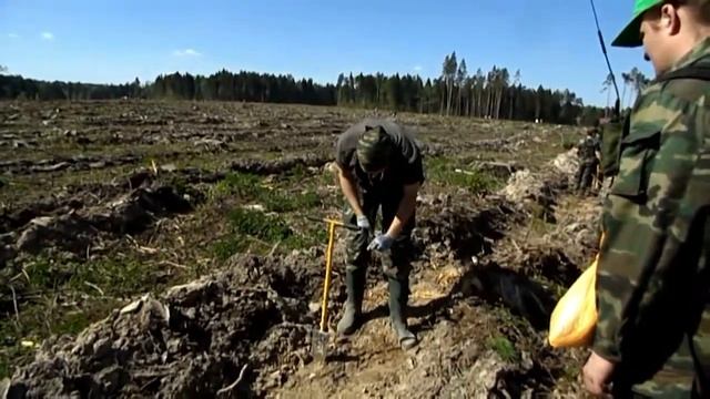 "Даримлес" 12.05.2018 Лесопосадка